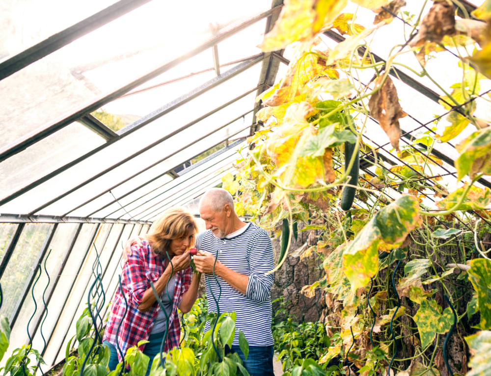 Ancestral Diets: The Importance of Traditional First Nations Food