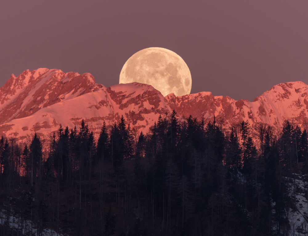 Ancestral Diets: The Importance of Traditional First Nations Food